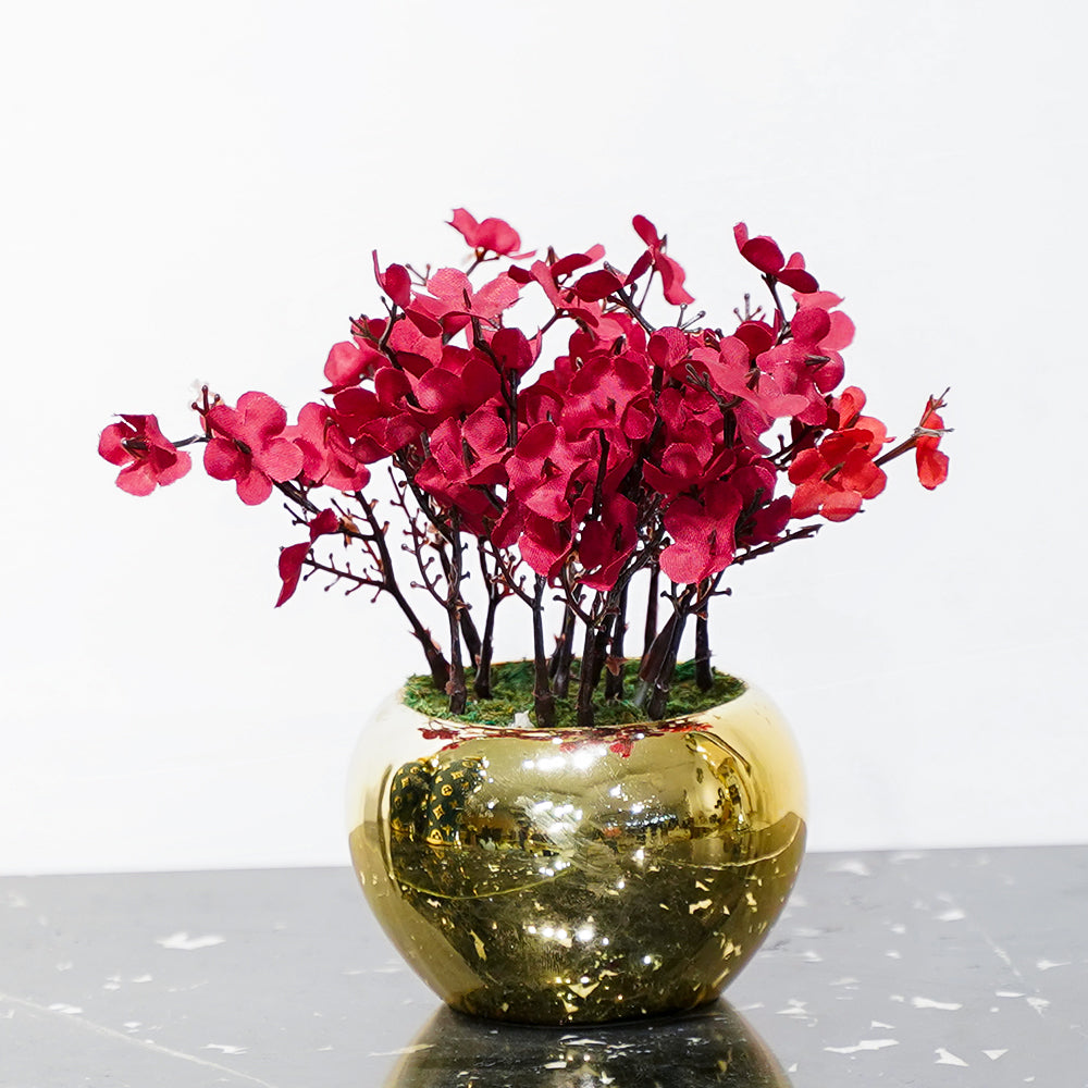 See The Latest Collection At Shaheen Store – Shaheen's Store