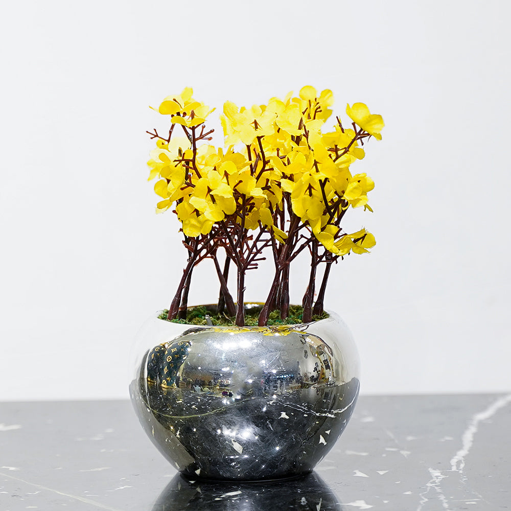 See The Latest Collection At Shaheen Store – Shaheen's Store